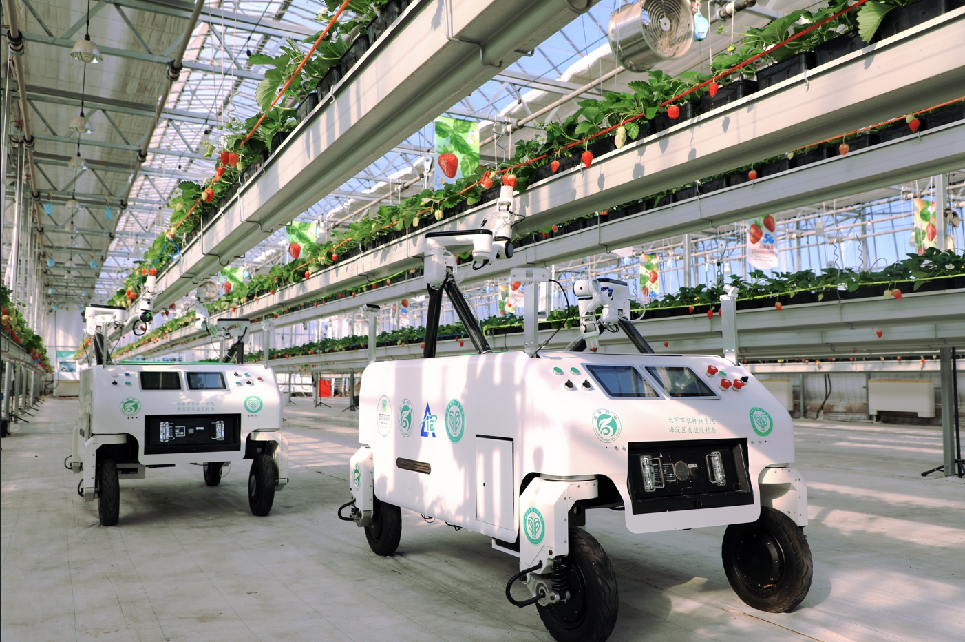 Strawberry Harvesting Robot (HarvestFlex / 柔采) | S-H Robotics Lab